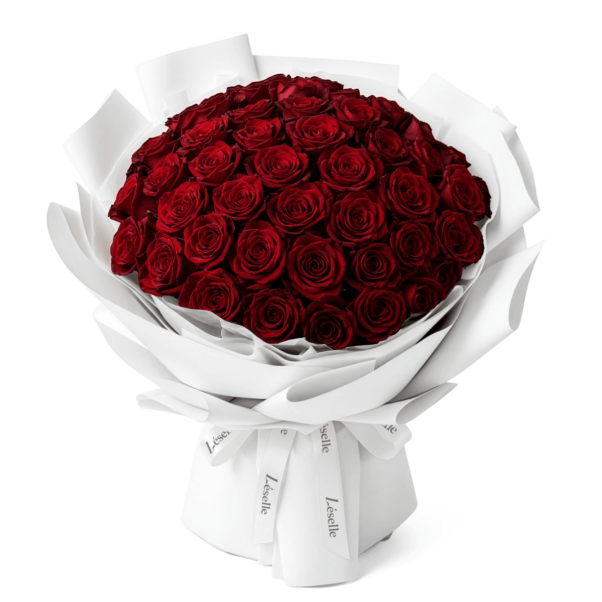 【Valentine's Limited】The Grand Explorer // Premium Ecuadorian Red Rose ...