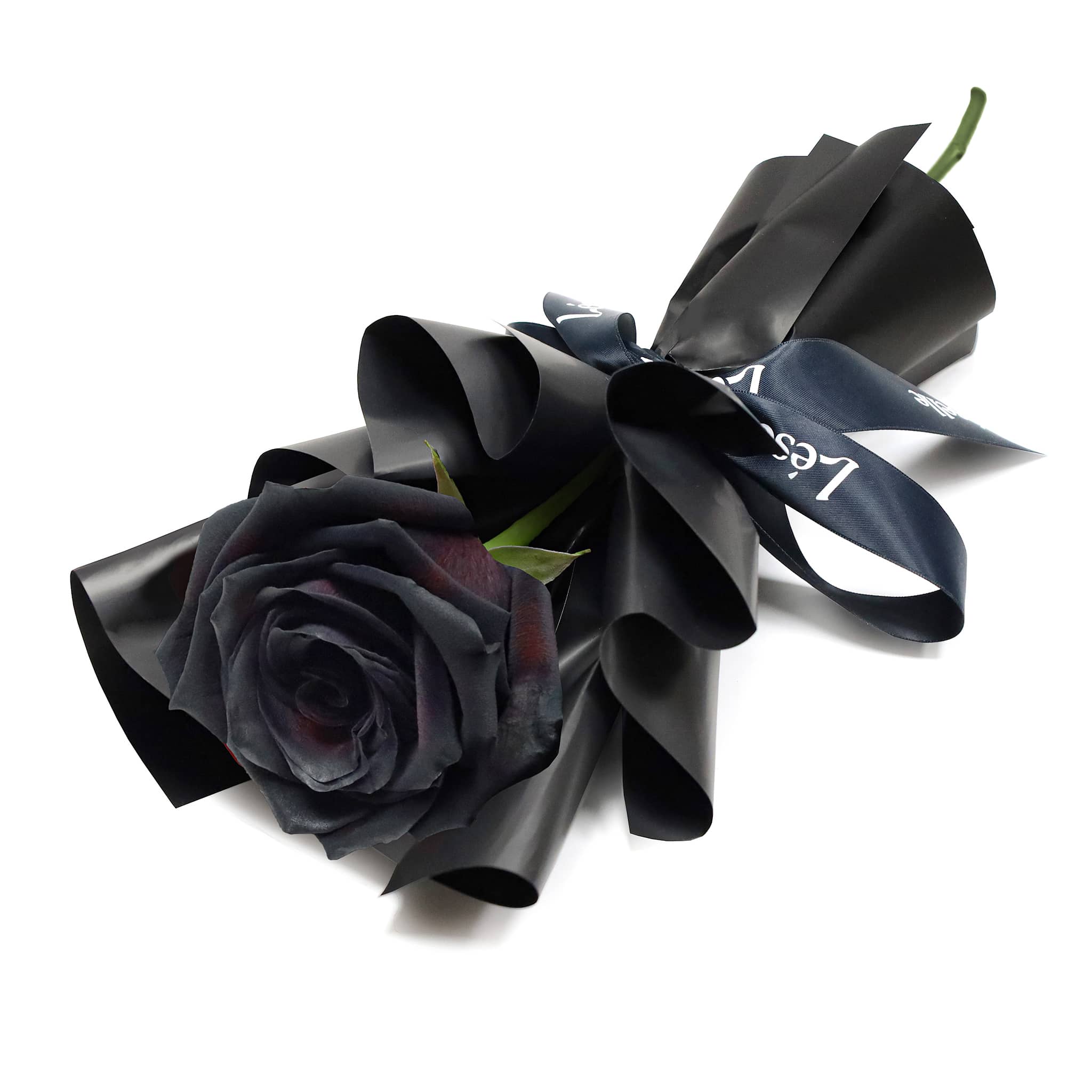 Single Black Rose Flower